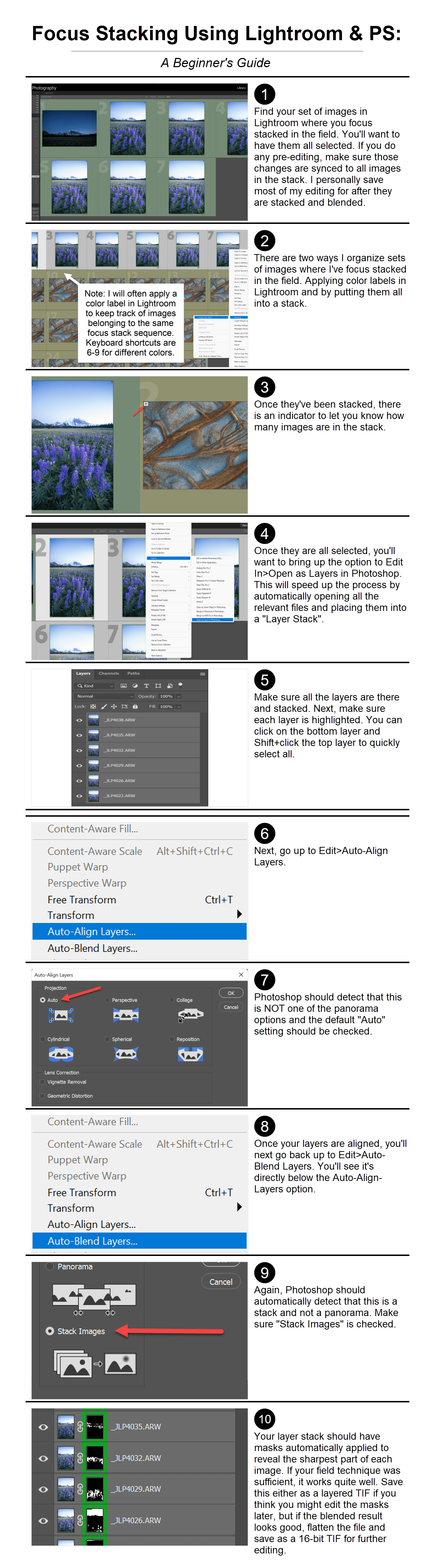 Beginner's Guide to Focus Stacking - Jim Patterson Photography
