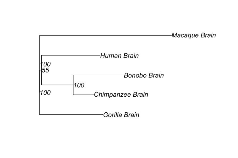 Github Jingwyang Treeexp - Incredible Full HD Space Arts | Free Download