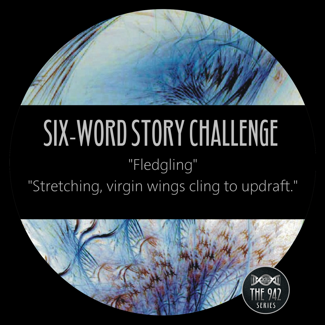 Six-Word Story Challenges – 2018 – J. I. Rogers – Author