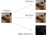 Kernel Image Processing In Numpy Jk31 Blog