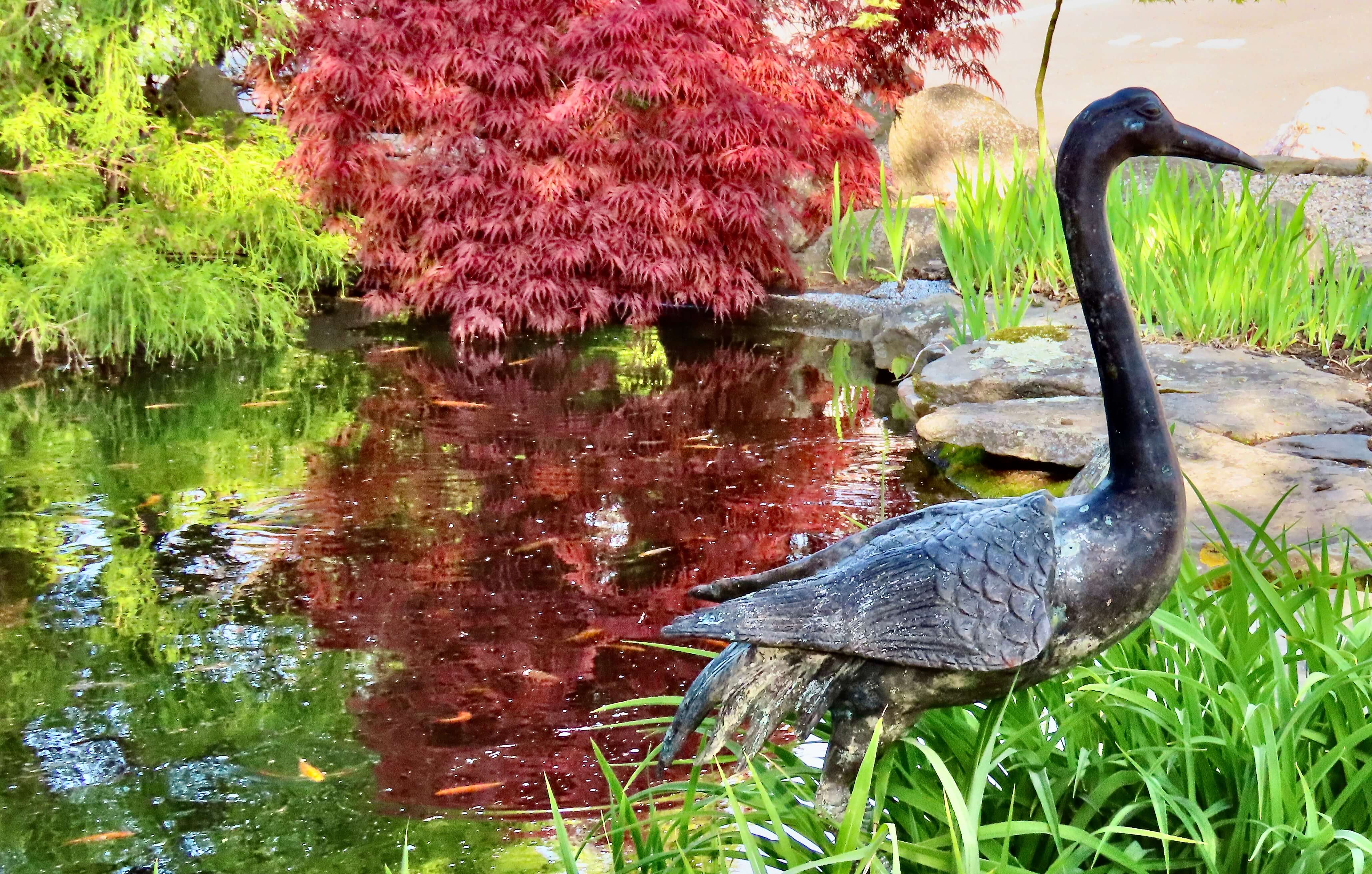 Zen-style Gardens at Pleasant Bay Village – From My Window