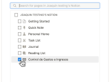 Notion Graphs