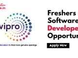 Full Stack Developer Job Opportunity Skills Responsibilities