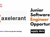 Junior Software Engineer Backend Python Go Remote Opportunity