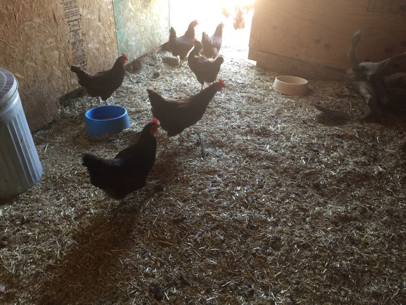 Time to get busy. | The Ultimate Answer to Kings