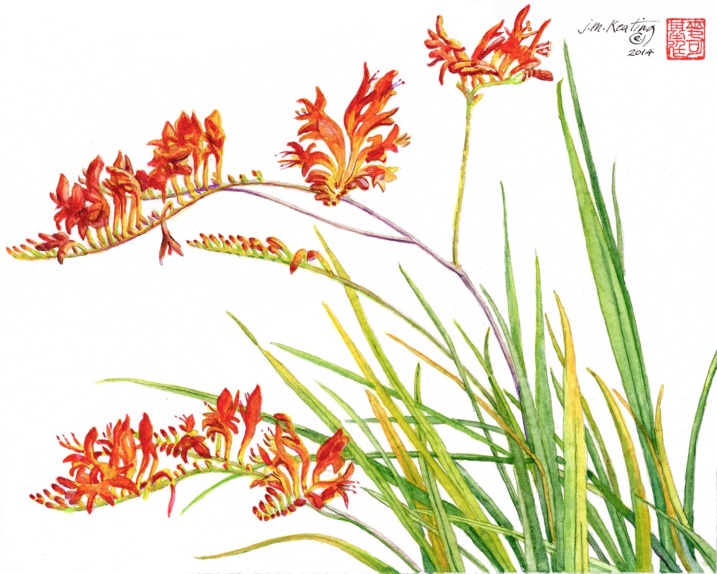 Flowers – John Michael Keating