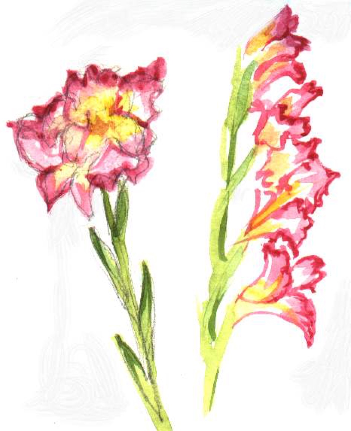 Flowers – John Michael Keating