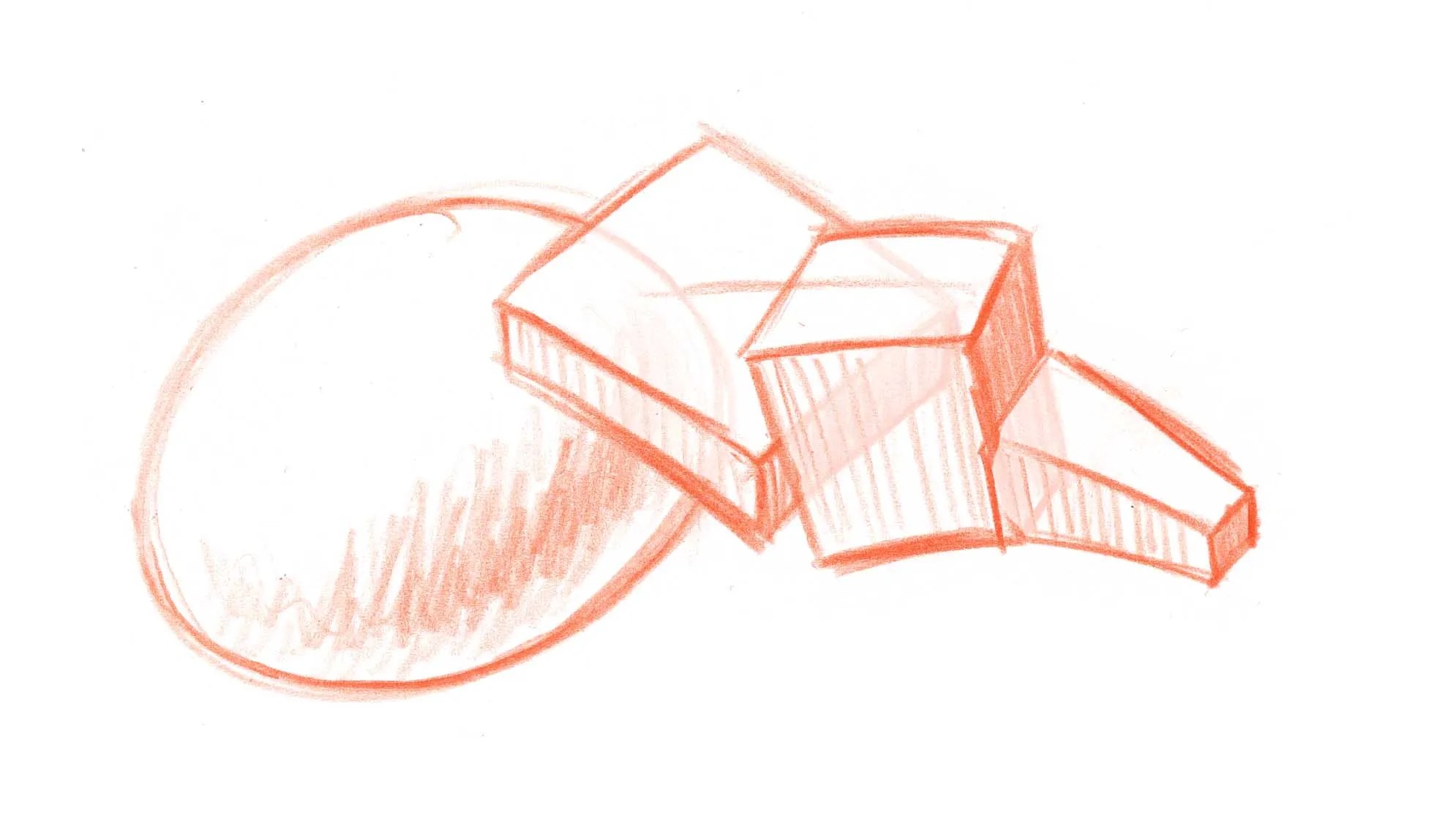 Fundamental Drawing Techniques (video workshop) • John Muir Laws