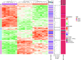 Chapter 14 More Examples Complexheatmap Complete Reference