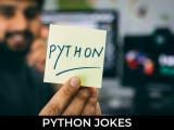 71 Python Jokes And Funny Puns Jokojokes