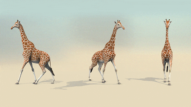 Animate a Giraffe Walk Cycle - Jonathan Symmonds.com