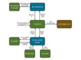 One Man S Developer Workflow Jon Christopher