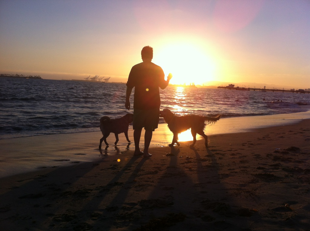 New Piece and a Sad Story - Joseph Lapin