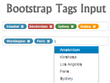 Bootstrap Tags Input Jquery Plugins