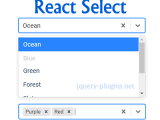 Multiple Select Jquery Plugins