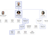 Javascript Organization Chart Gallery Jscharting