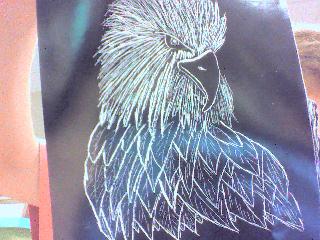 Scratch Art Eagle | jseeger15