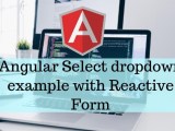 Angular 9 8 7 Select Dropdown Example With Reactive Form Json World