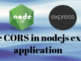 How To Enable Cors In Node Js Express Json World