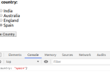 React Radio Button Example And Tutorial Json World