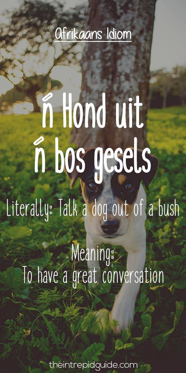 idioom | © My Klaskamer - idees en gedagtes uit 'n juffrou se pen