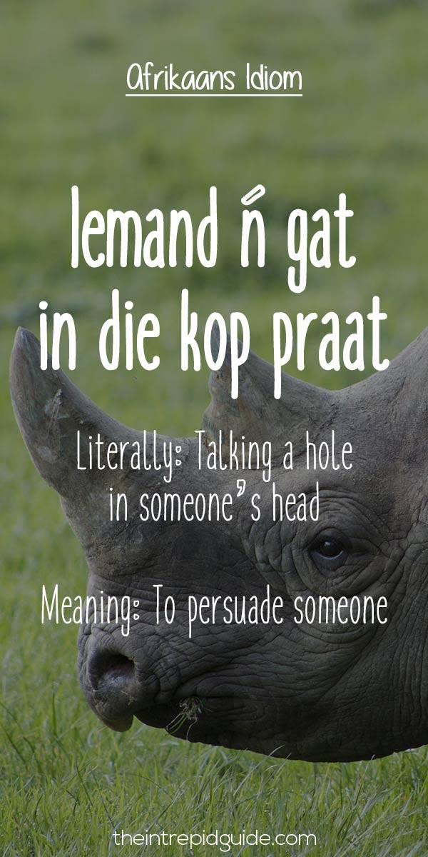 idioom | © My Klaskamer - idees en gedagtes uit 'n juffrou se pen