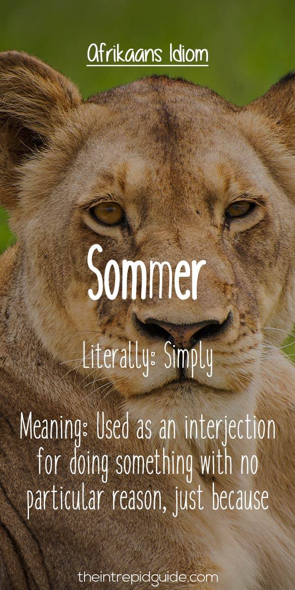 idioom | © My Klaskamer - idees en gedagtes uit 'n juffrou se pen