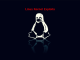 Kernel Exploits Linux Privilege Escalation