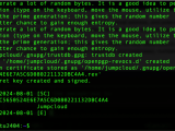 Comparing Encryption Tools Analysis Of Different Encryption Tools