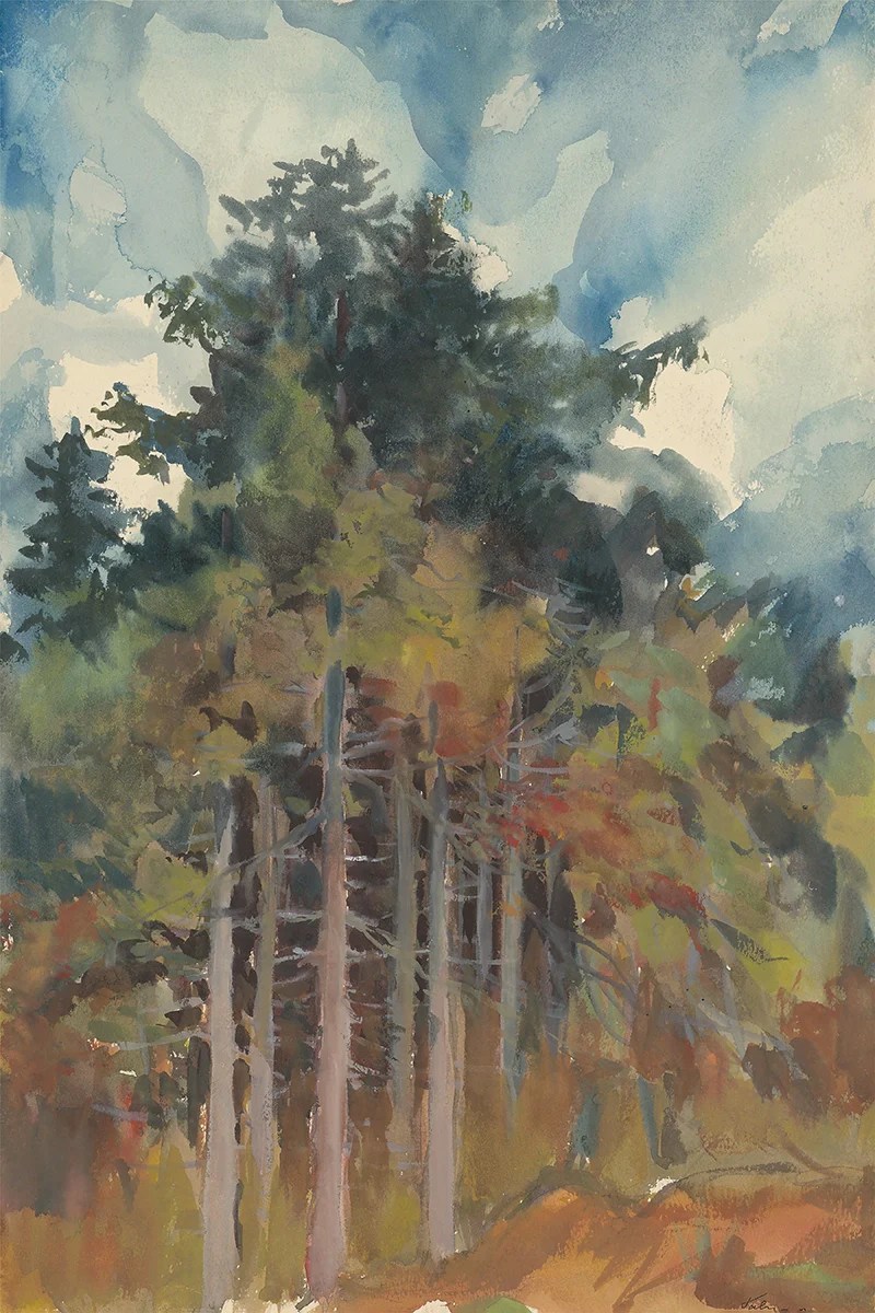 Autumn Forest Juniper Print Shop