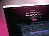 Wp Debug Toolkit Just My Tools