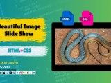 Image Slideshow In Html And Css Jv Codes 2026