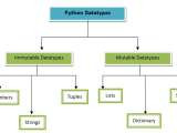 Introduction To Data Types In Python For Beginners