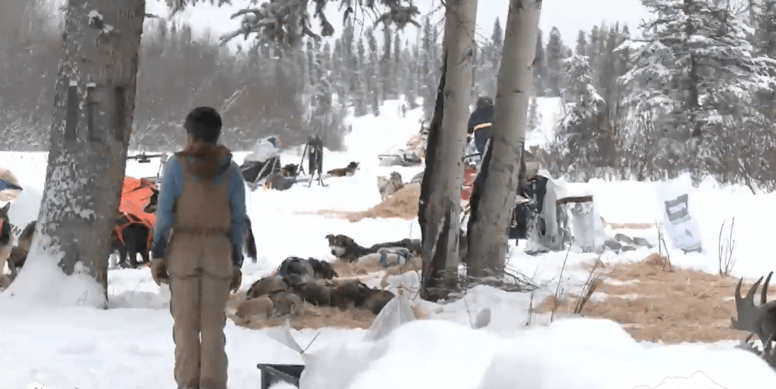 Out of Ophir – Challenging Wind and Snow – Kaiser Racing Kennel ...