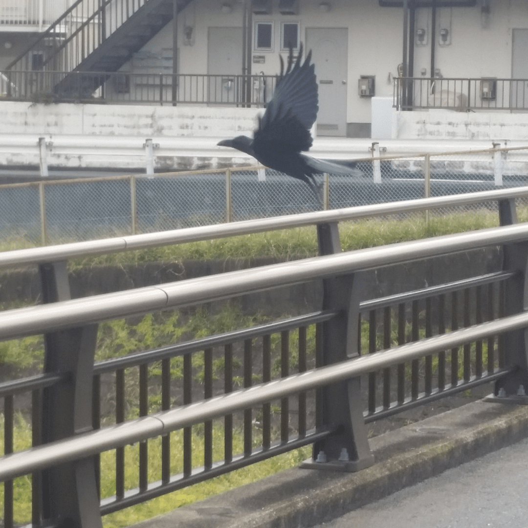 Why I Don't Need to Justify My Existence - A blog about life on the ...