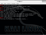 Metasploit Framework A Kali Linux Exploitation Tool Guide