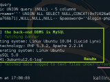 Sqlmap Introduction Automation Of Sqli Kali Linux Tutorials