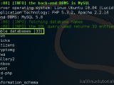 Sqlmap Enumeration Of Databases Users From Vulnerable Forms
