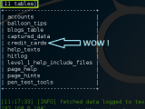 Sqlmap Enumeration Of Databases Users From Vulnerable Forms