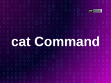 Cat Command Read And Combine File Contents In Linux Kali Linux Tutorials
