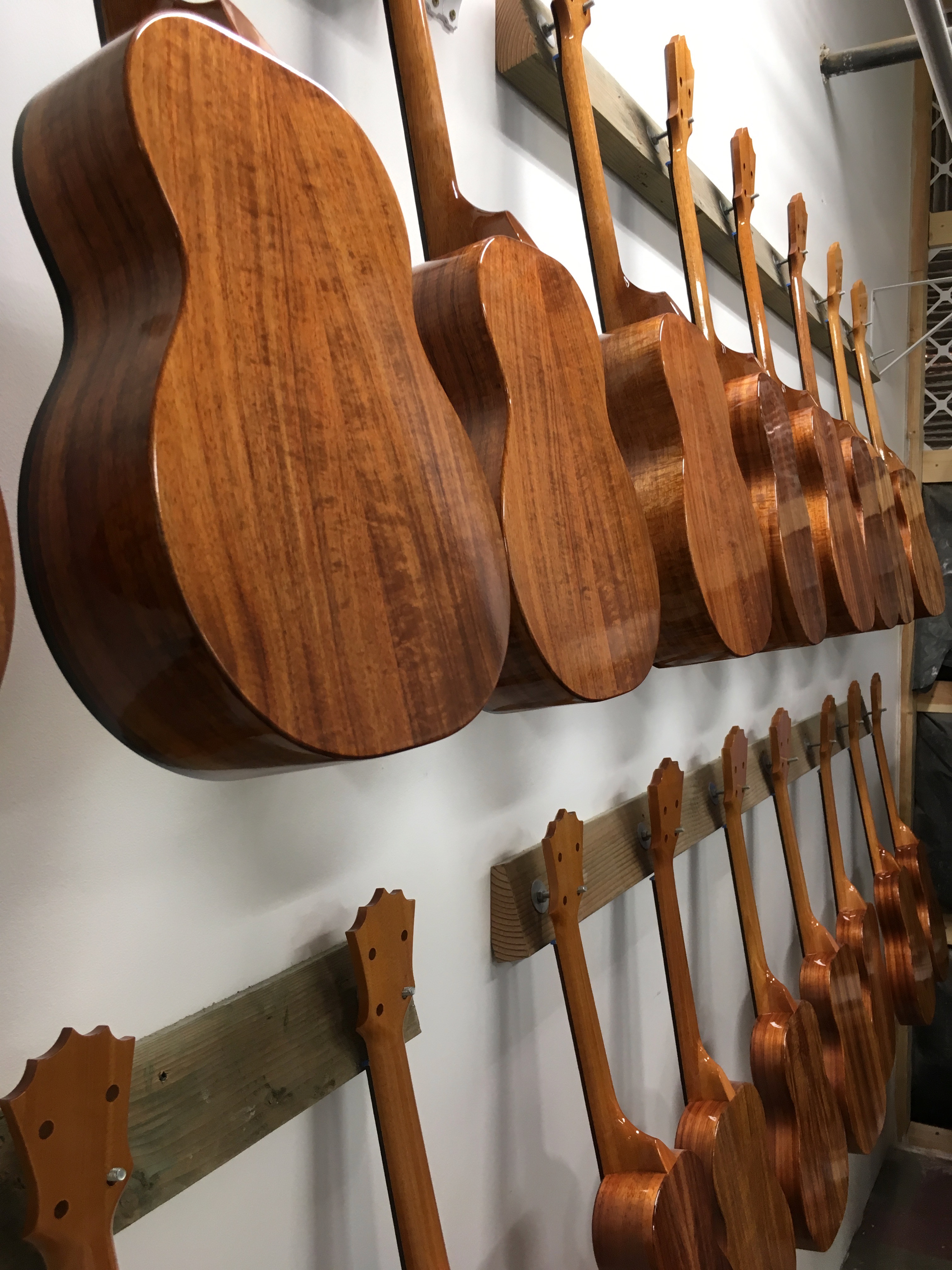 Aloha, KoAloha! – Kamuke