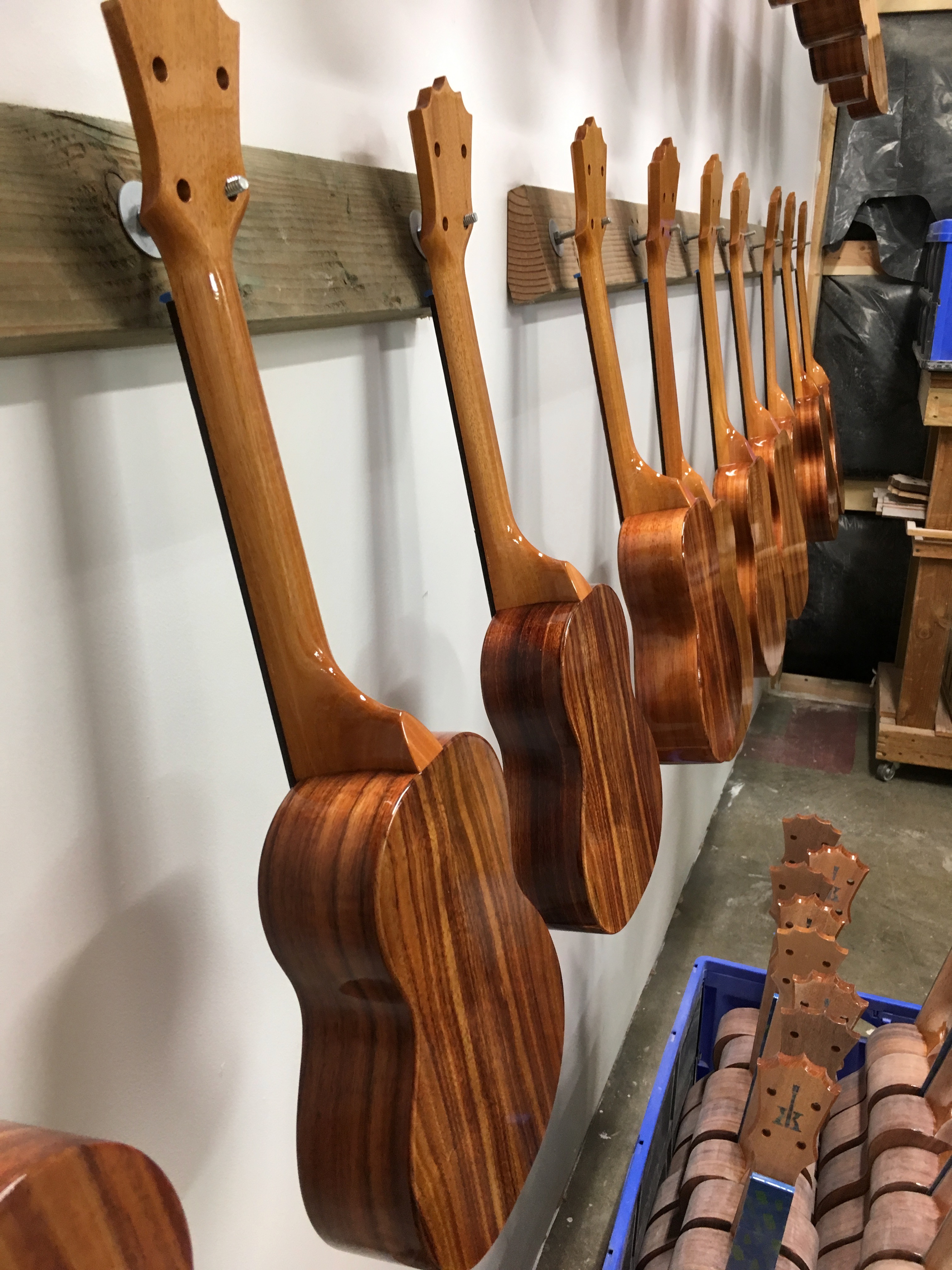 Aloha, KoAloha! – Kamuke