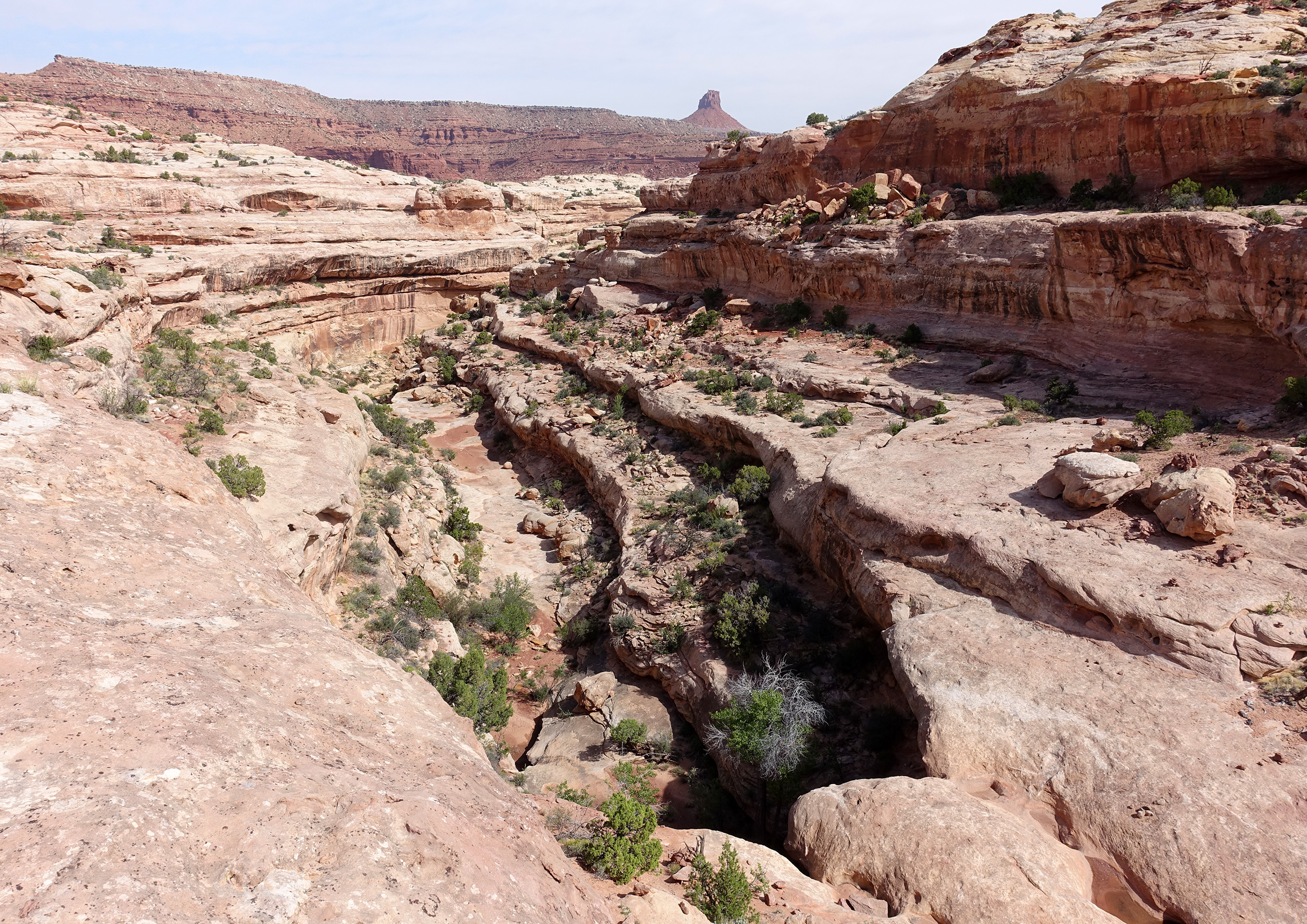 The Maze District, Canyonlands National Park 5-14-18 – NW Adventures ...
