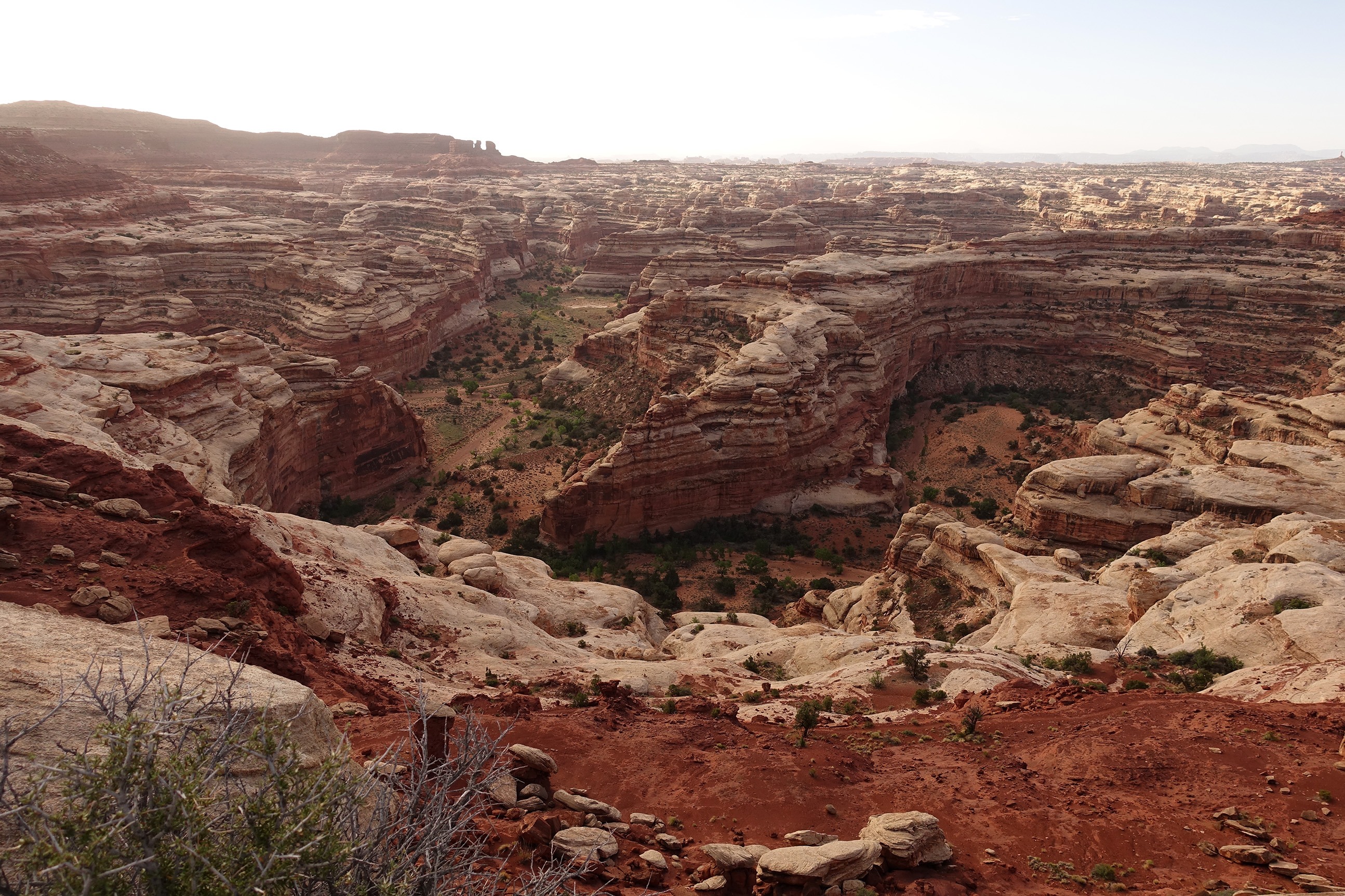 The Maze District, Canyonlands National Park 5-14-18 – NW Adventures ...