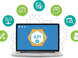 Custom Api Development Karnanisoft Technologies