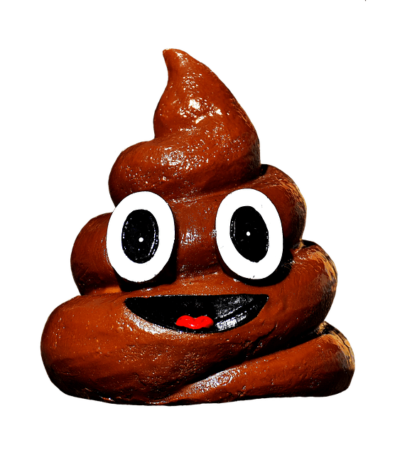 Let’s Talk About Poop, Baby - Katie Songer, writer