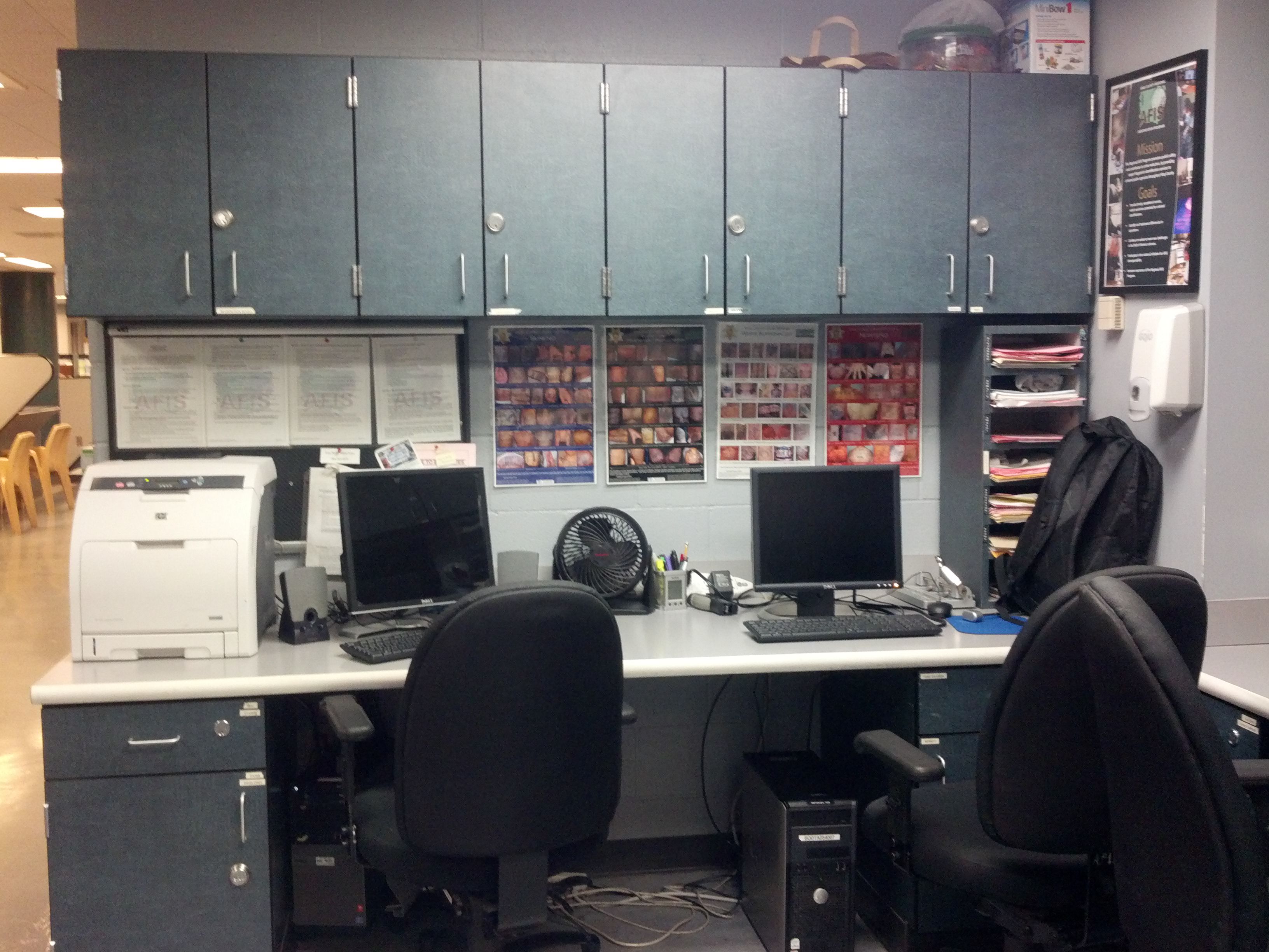 AFIS Healthy Worksite Makeover – the BEFORE! – Balanced You