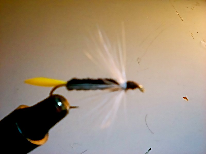 How to Tie a Basic Pan-Fish Fly – Online Programs @ KCKPL