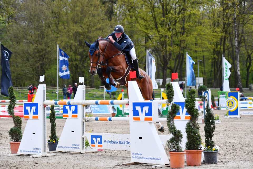 Kennedy Equine Centre – KEC Horses – Kennedy Equine Centre KEC sport ...