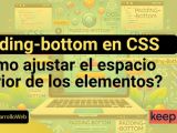 Padding Bottom En Css Qué Es Y Para Qué Sirve 2026